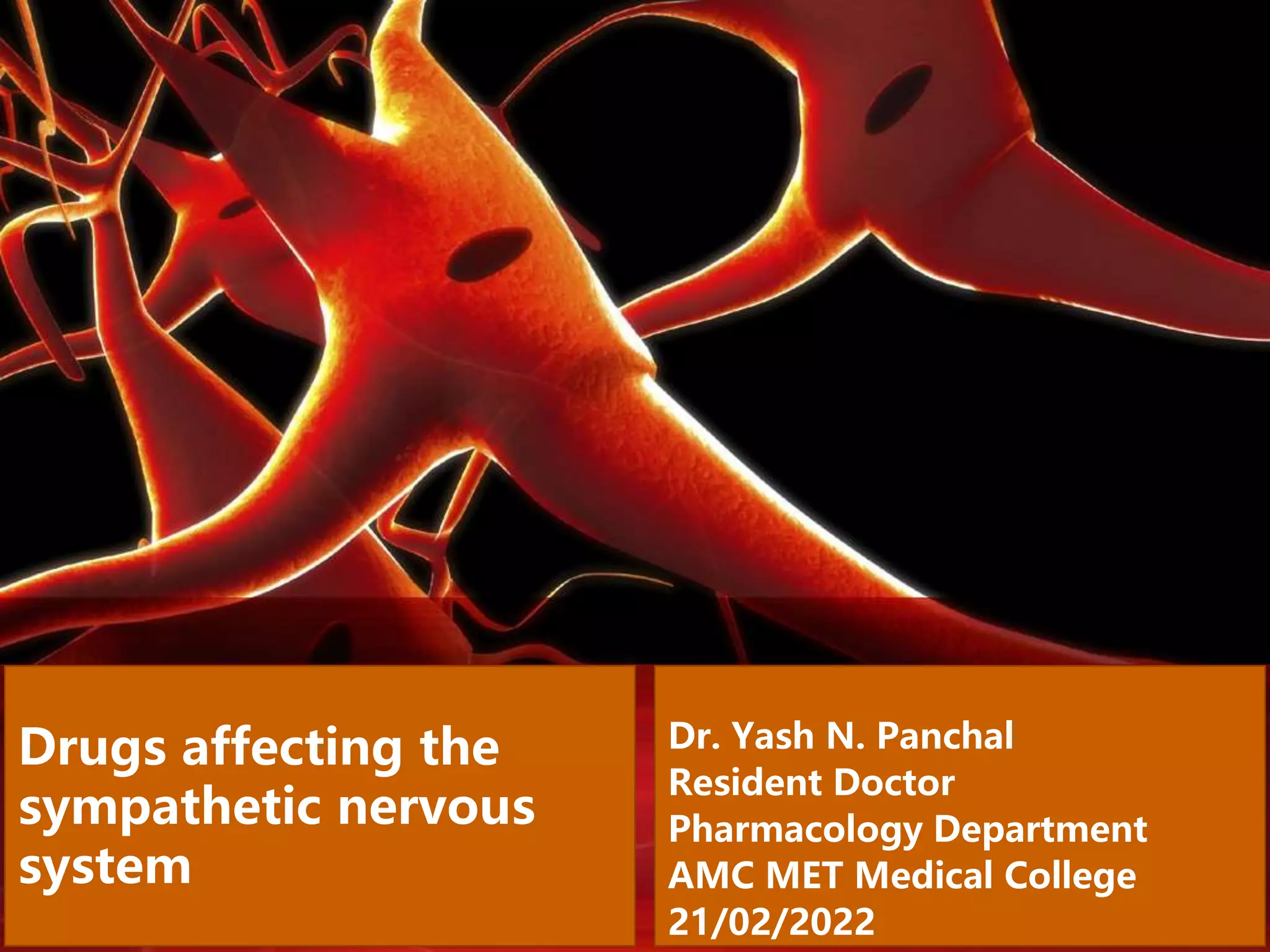 Drugs affecting the sympathetic nervous system | PPTX