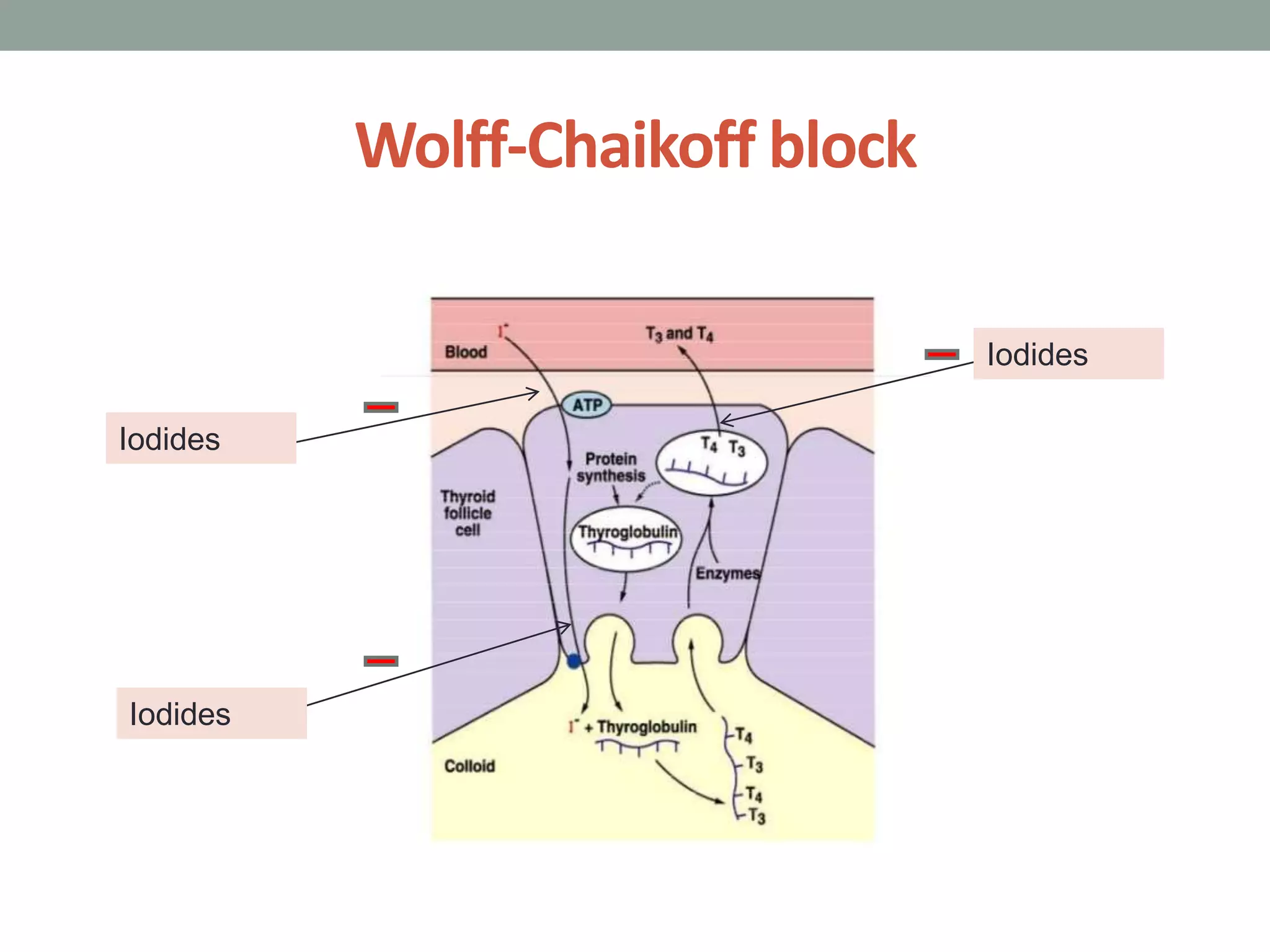 Drugs affecting thyroid function | PPTX