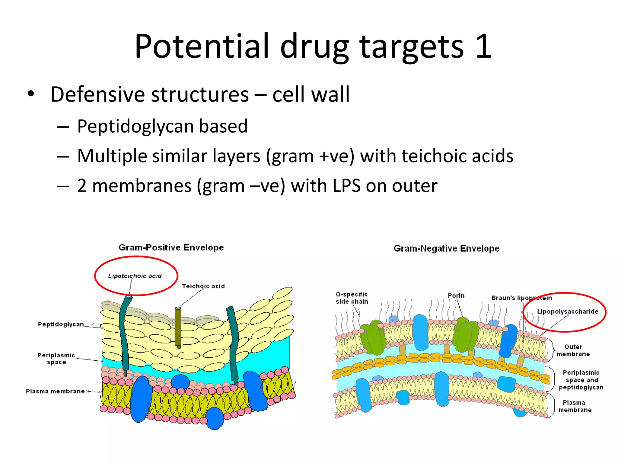Drugs against bugs - antibiotics in the ICU | PDF