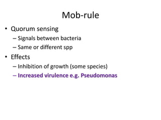 Drugs against bugs - antibiotics in the ICU | PDF | Infectious Diseases ...