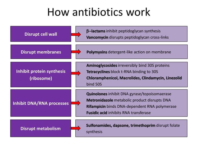 Drugs against bugs - antibiotics in the ICU | PDF | Infectious Diseases ...