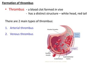 Drugs and blood clotting | PPTX
