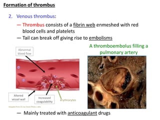 Drugs and blood clotting | PPTX