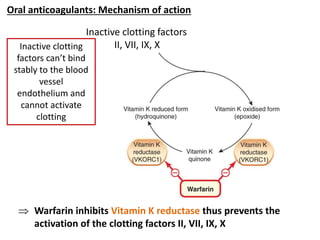 Warfarin Mechanism Of Action Coagulation Cascade