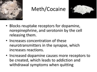 Drugs and effects on neurotransmitters | PPTX