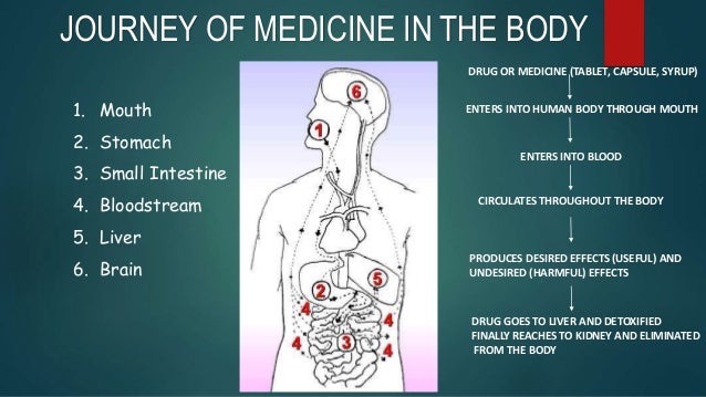 Drugs and its importance