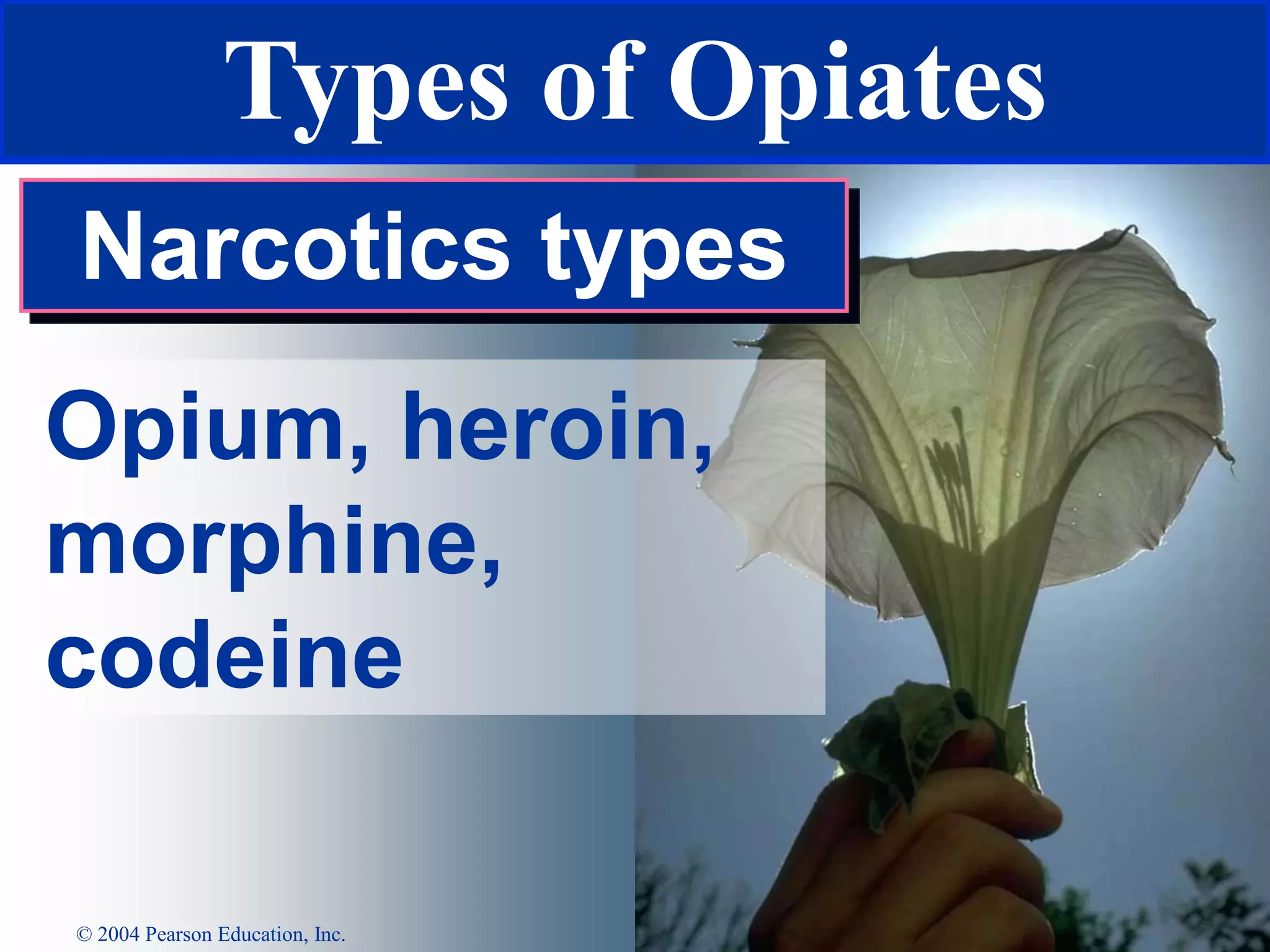 drugs and medicines teacher.ppt | Illegal Drugs, Tobacco, eCigarettes ...