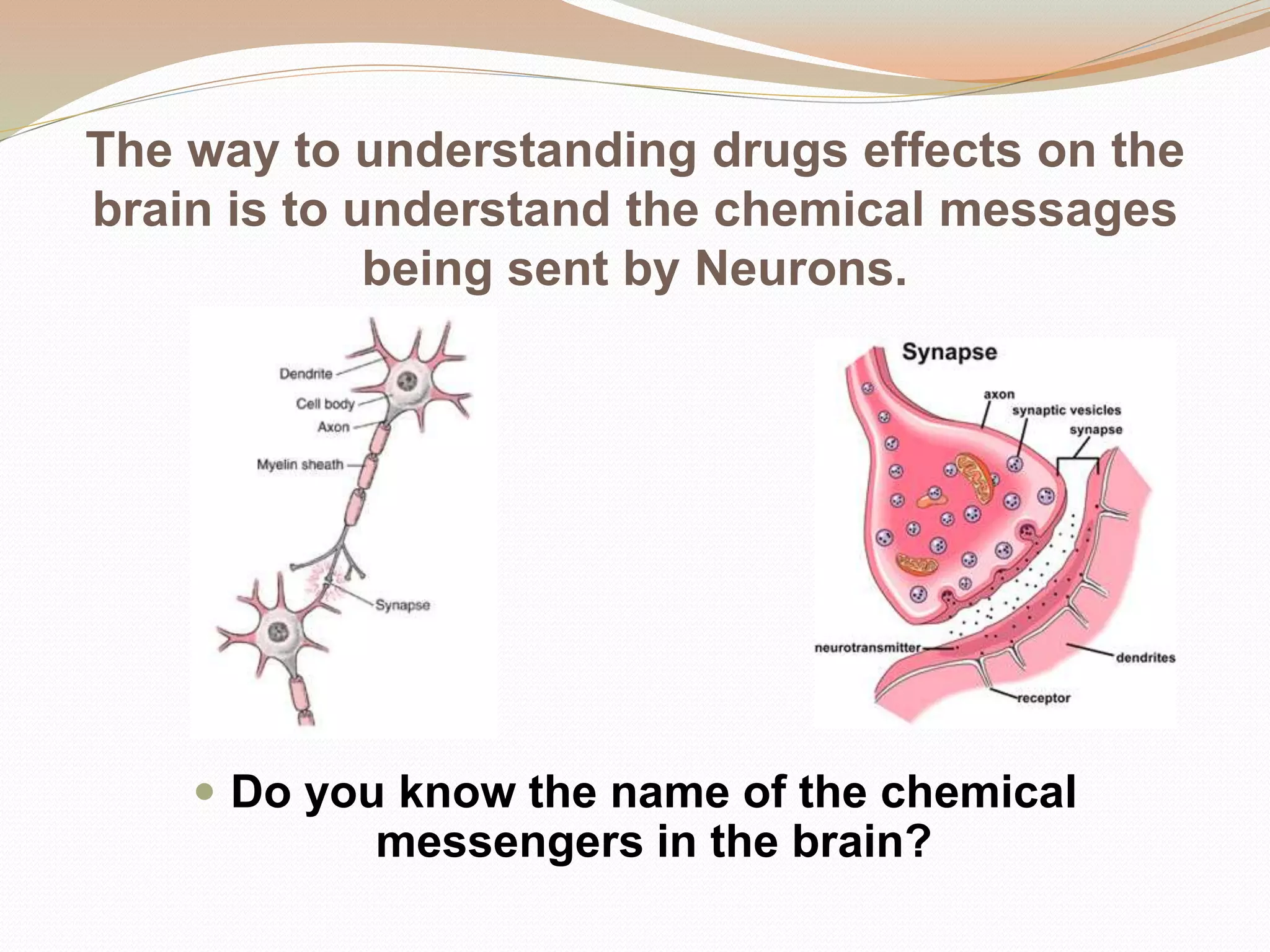 Drugs and the brain | PPTX