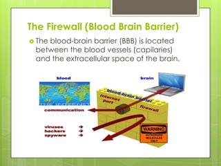 Drugs and the brain | PPTX