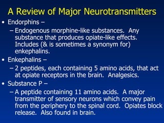 Drugsandthe Brain Part1 Review | PPT