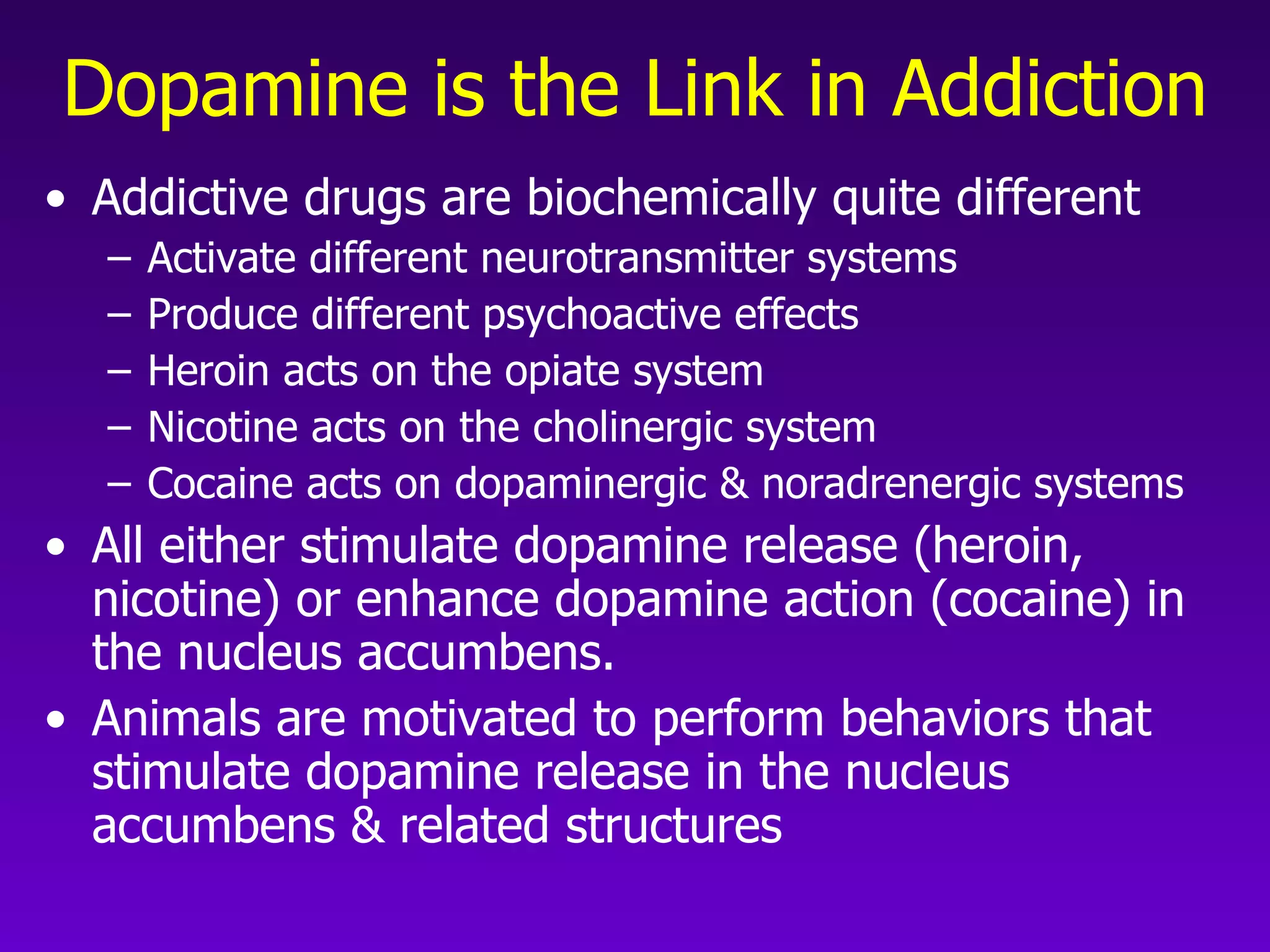 Drugsandthe Brain Part2 Addiction | PPT