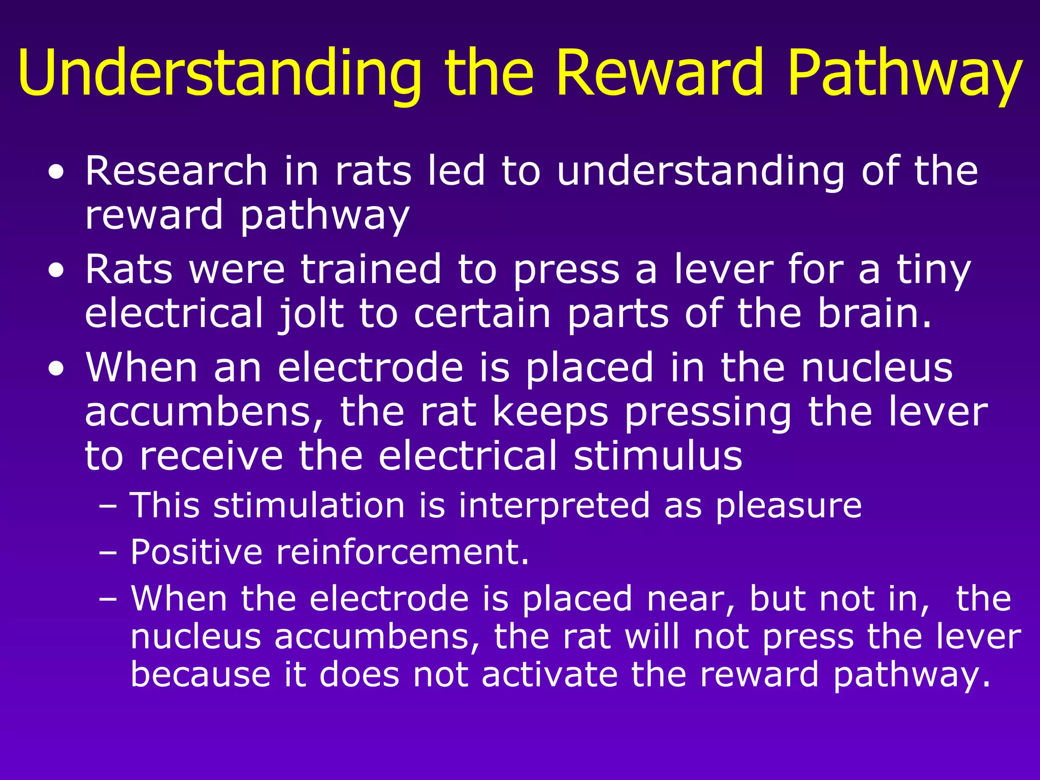 Drugsandthe Brain Part2 Addiction | PPT