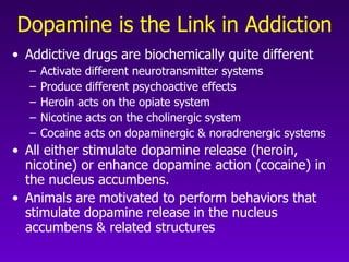 Drugsandthe Brain Part2 Addiction | PPT