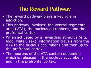 Drugsandthe Brain Part2 Addiction | PPT