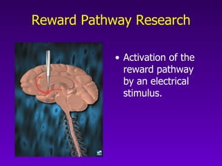 Drugsandthe Brain Part2 Addiction | PPT