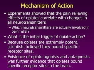 Drugsandthe Brain Part3 Opiates | PPT