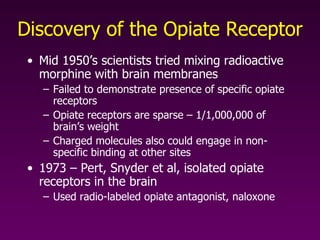 Drugsandthe Brain Part3 Opiates | PPT