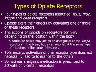 Drugsandthe Brain Part3 Opiates | PPT