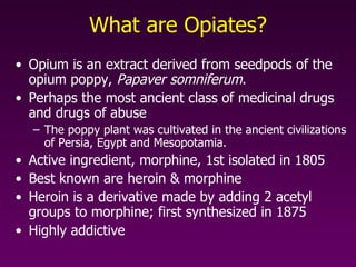Drugsandthe Brain Part3 Opiates | PPT