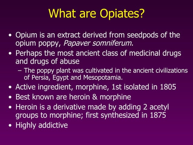 Drugsandthe Brain Part3 Opiates | PPT
