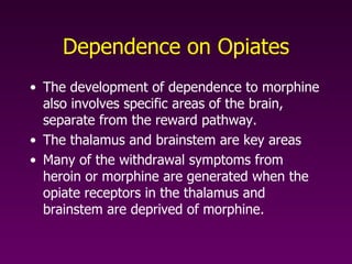 Drugsandthe Brain Part3 Opiates | PPT