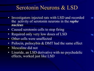 Drugsandthe Brain Part7 Psychedelics | PPT
