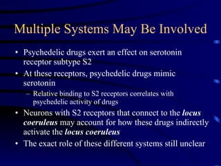 Drugsandthe Brain Part7 Psychedelics | PPT
