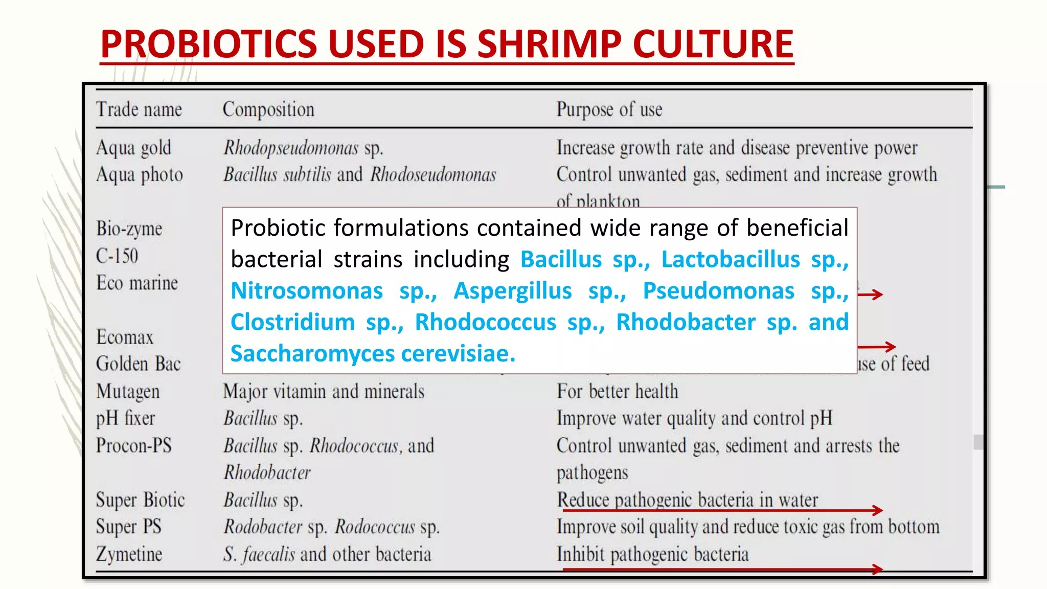 CHEMICALS AND DRUGS USED IN SHRIMP AQUACULTURE | PPTX
