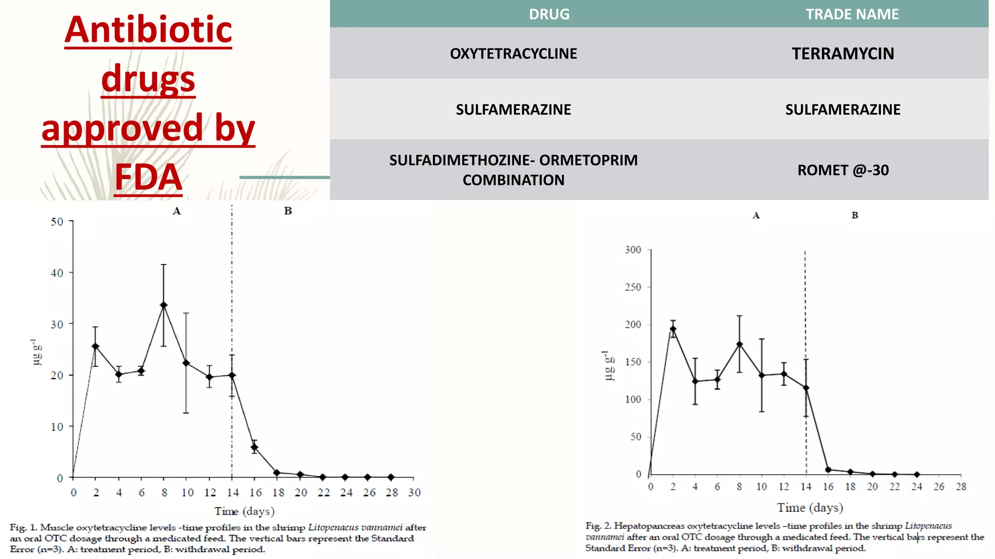 CHEMICALS AND DRUGS USED IN SHRIMP AQUACULTURE | PPTX