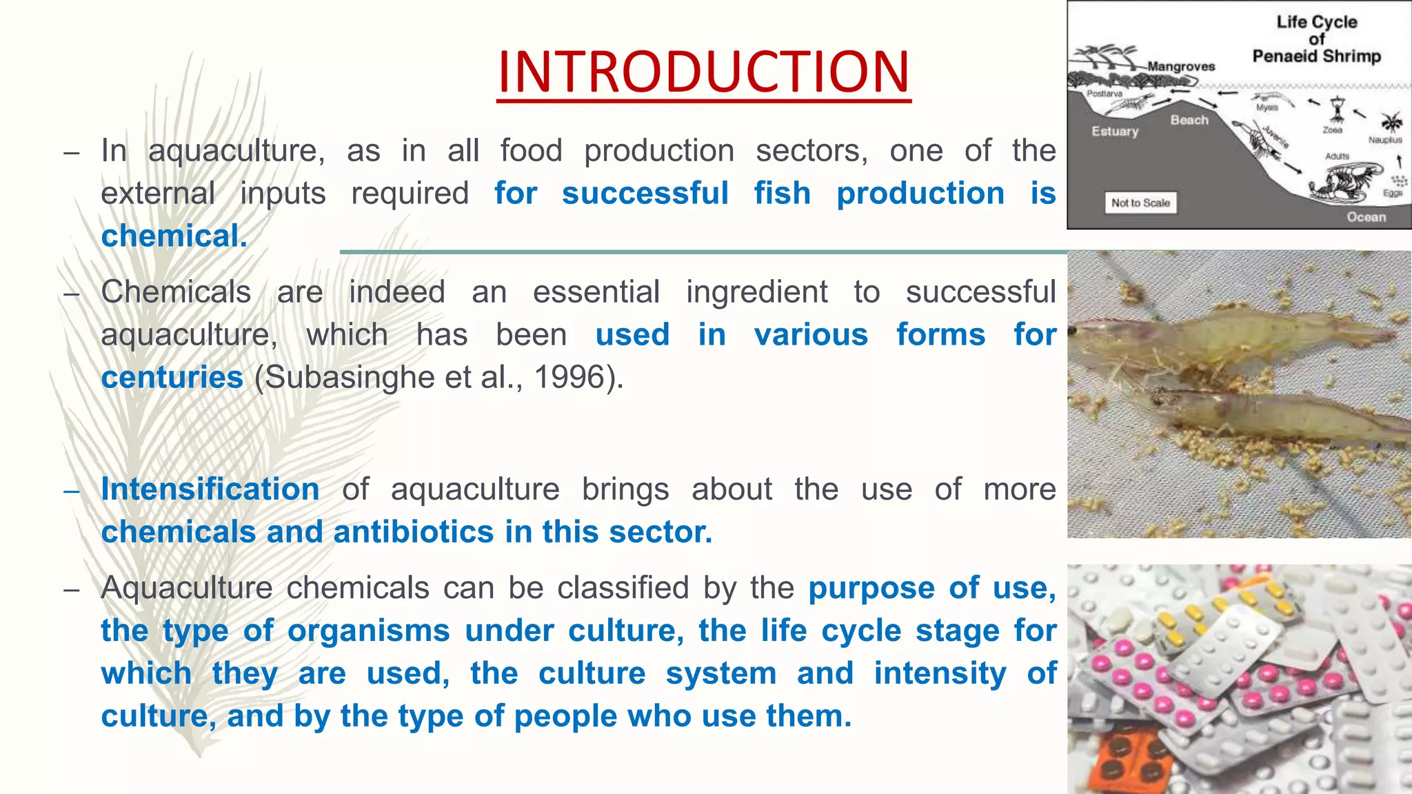 CHEMICALS AND DRUGS USED IN SHRIMP AQUACULTURE | PPTX
