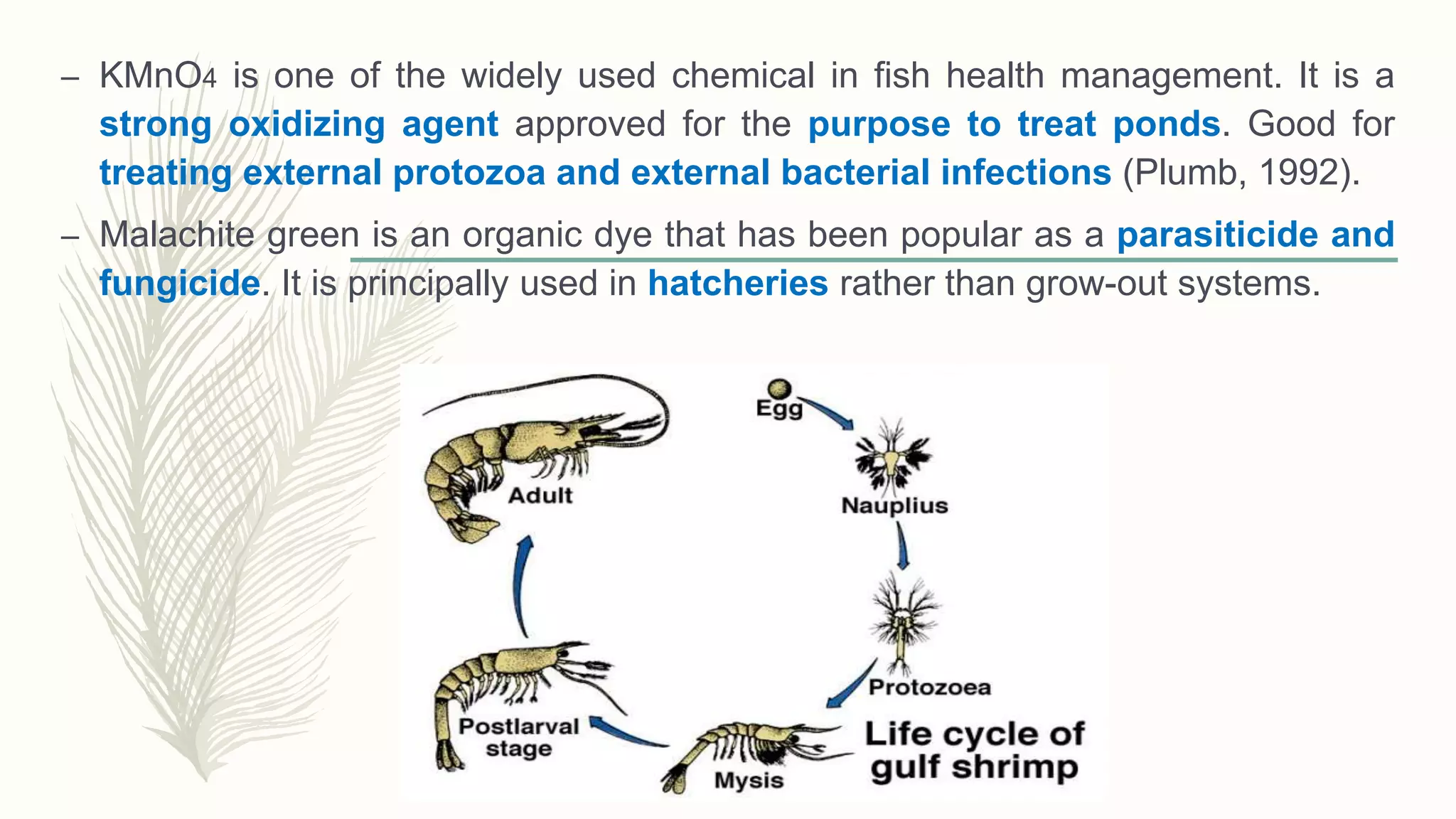 CHEMICALS AND DRUGS USED IN SHRIMP AQUACULTURE | PPTX