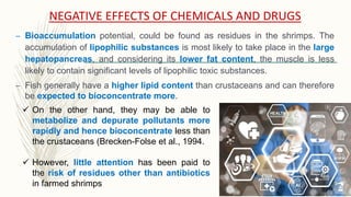 CHEMICALS AND DRUGS USED IN SHRIMP AQUACULTURE | PPTX