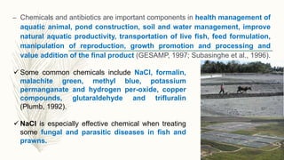 CHEMICALS AND DRUGS USED IN SHRIMP AQUACULTURE | PPTX
