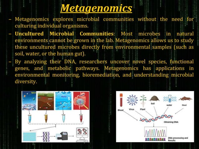 Drugs Discovery and Development from Microbial Genome.pptx