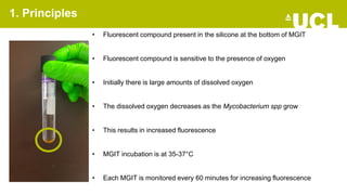 Drug_sensitivity_testing.pdf
