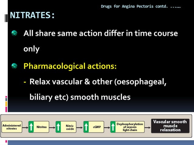 Drugs for angina pectoris | PPTX