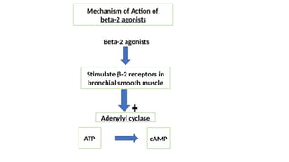 Drugs for treatment of Bronchial Asthma including pathology physiology ...
