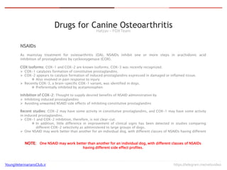 Drugs for Canine Osteoarthritis - Mostafa Qalavand | PPTX