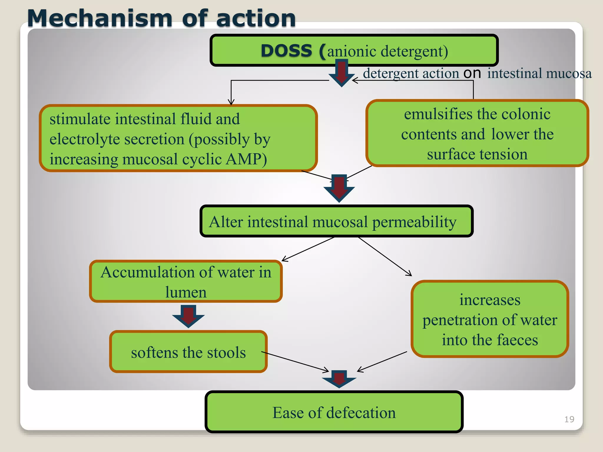Drugs used in treatment of constipation | PPTX