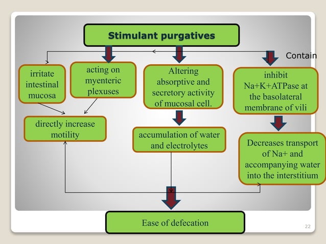 Drugs used in treatment of constipation | PPTX | Digestive Disorders ...