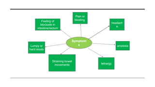 drugs for constipation | PPTX