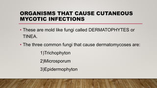 Drugs for cutaneous mycotic infections [autosaved] | PPTX