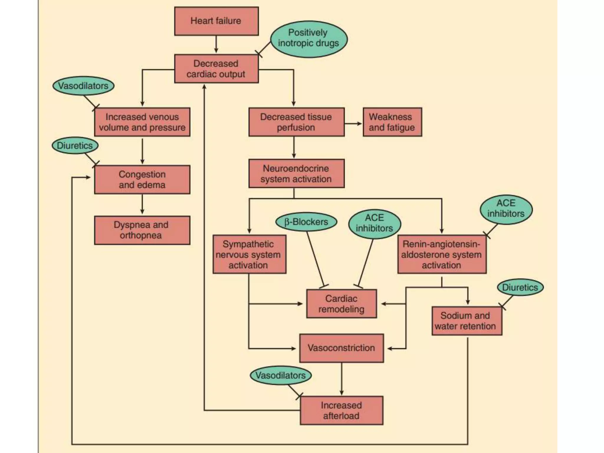 Drugs for heart failure | PPTX