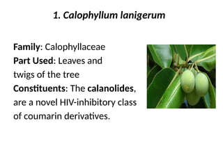harmacognosy of drugs for HIV explained.pptx