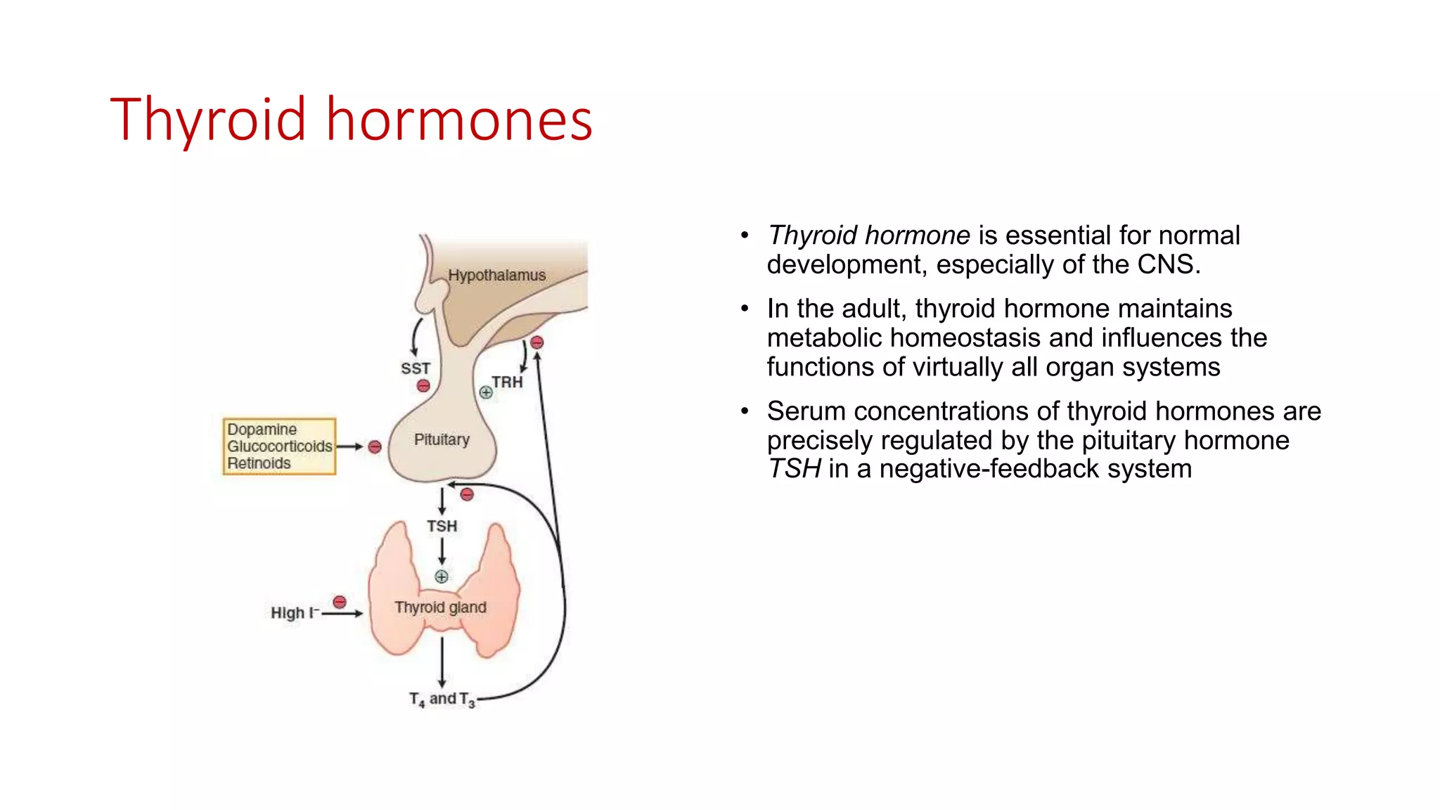 Drugs for thyroid and parathyroid disorders | PPTX