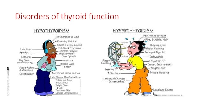 Drugs for thyroid and parathyroid disorders | PPTX | Thyroid Disorders ...