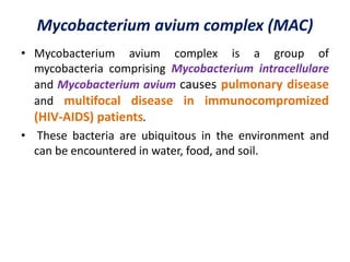 Drugs for MAC | PPTX