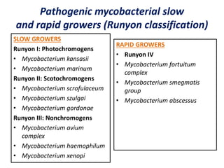 Drugs for MAC | PPTX