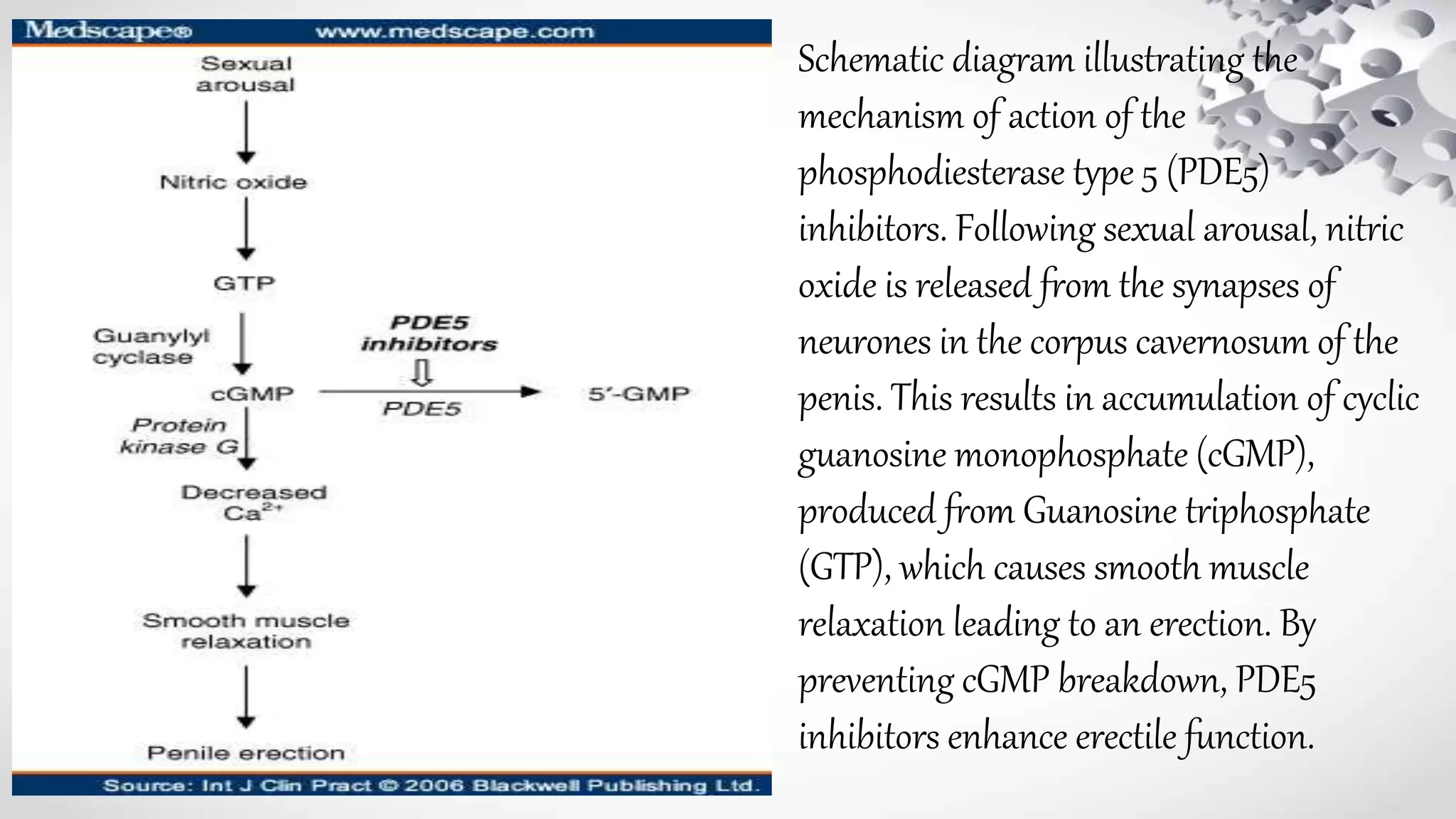Drugs for Erectile Dysfunction | PPTX