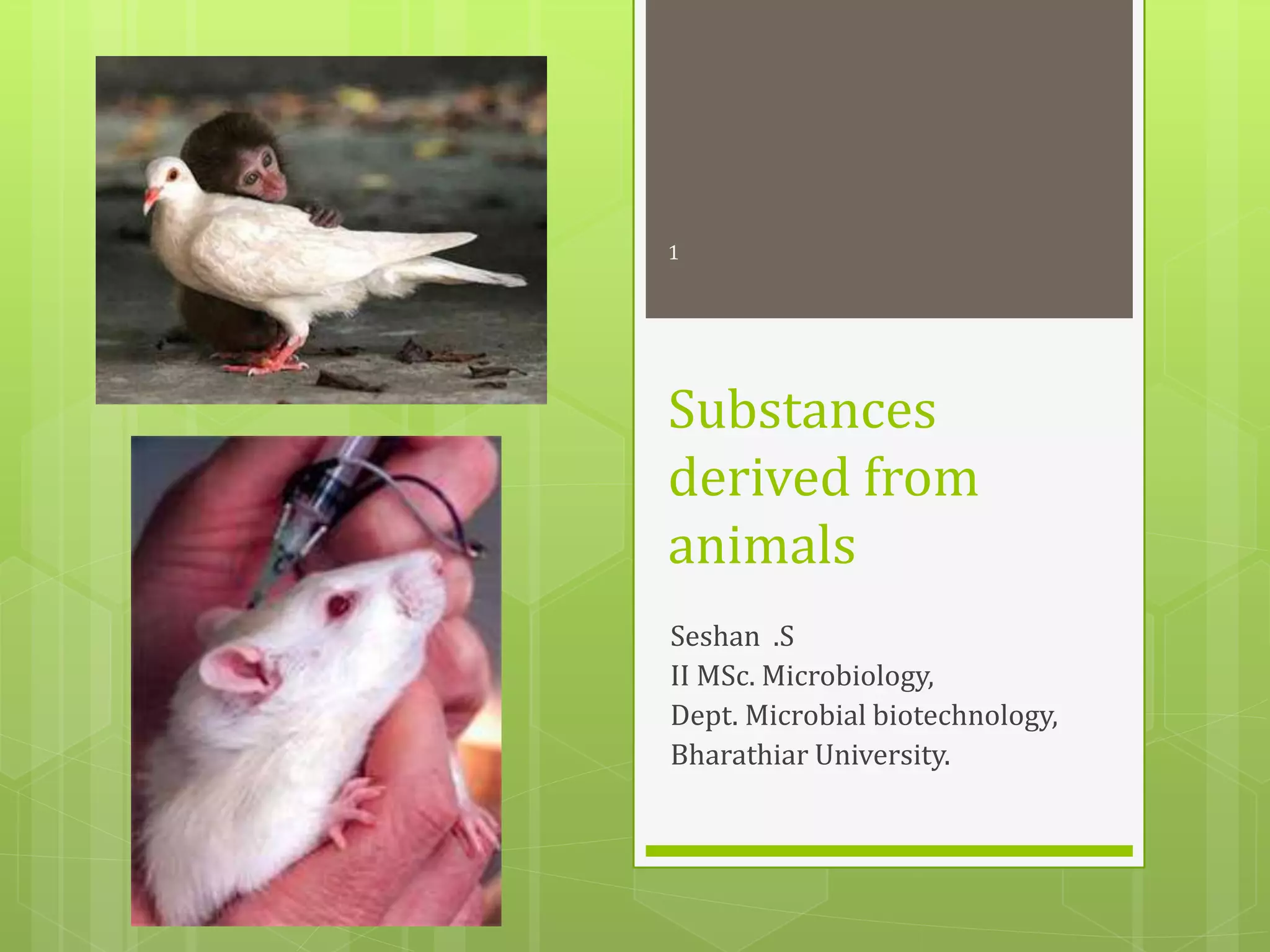 Drugs from animal | PPTX